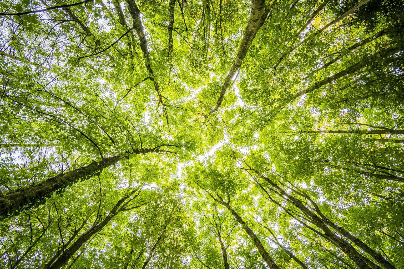 About Us - Adaptive HVM